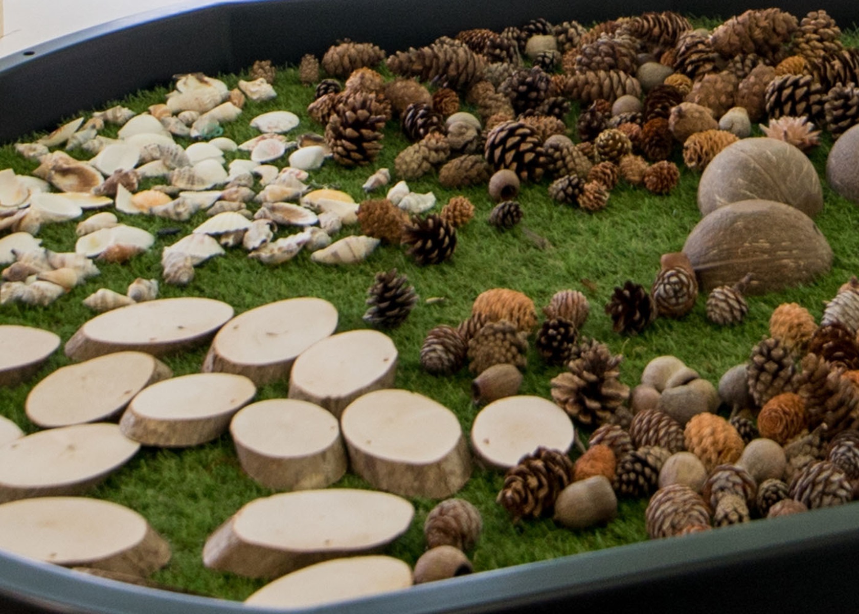 Heuristic Play| Healthy Hearts and Minds